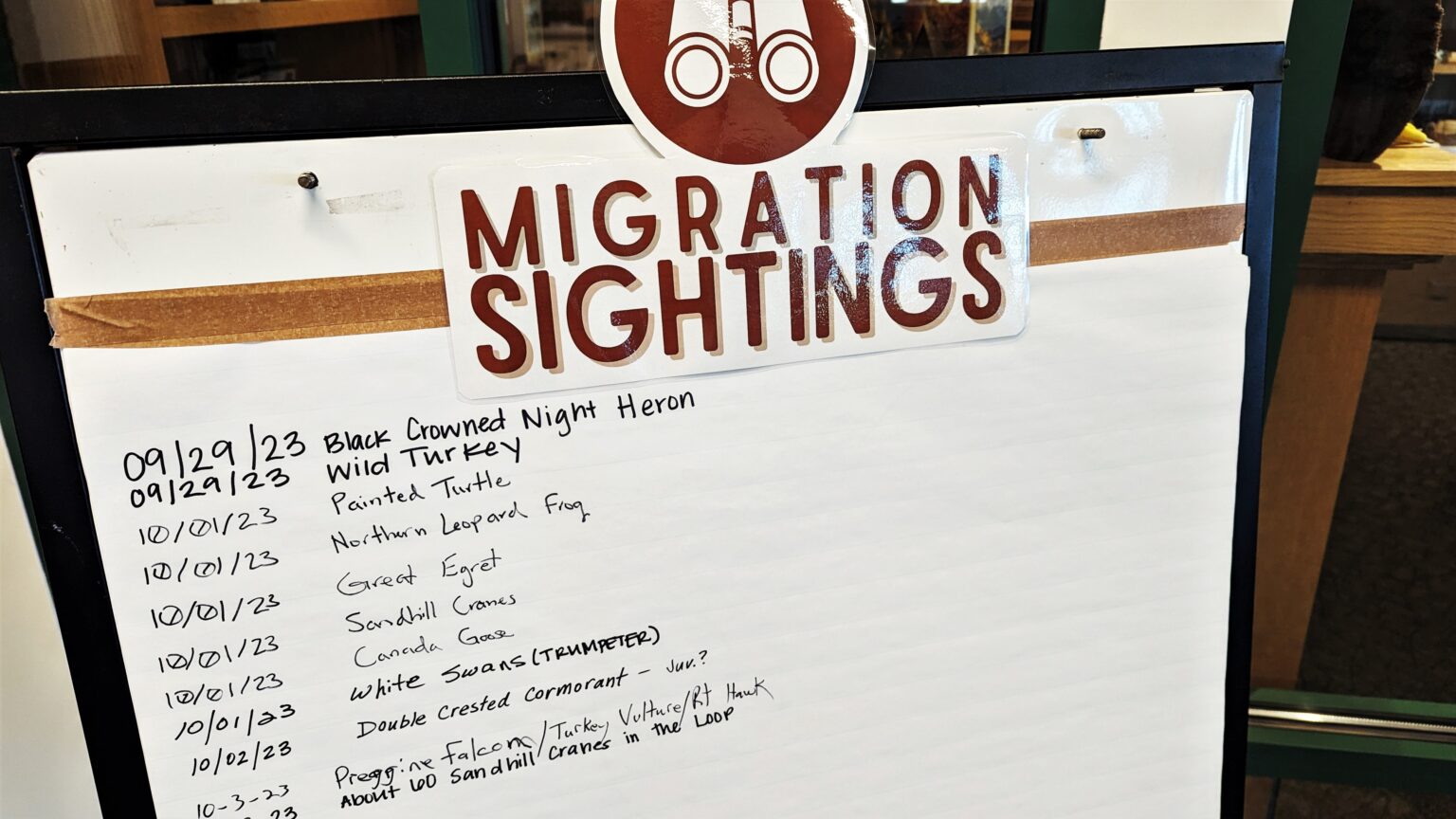 Migration Happenings! - Friends of Horicon Marsh