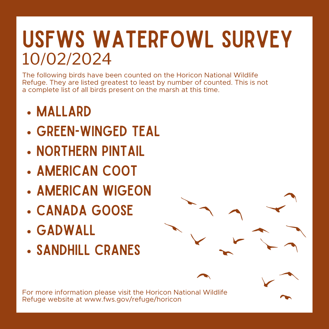 Migration Update! - Friends of Horicon Marsh